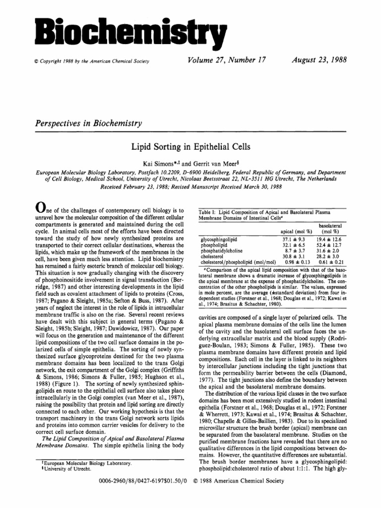 Lipid Sorting in Epithelial Cells | PDF | Cell Membrane | Lipid Bilayer