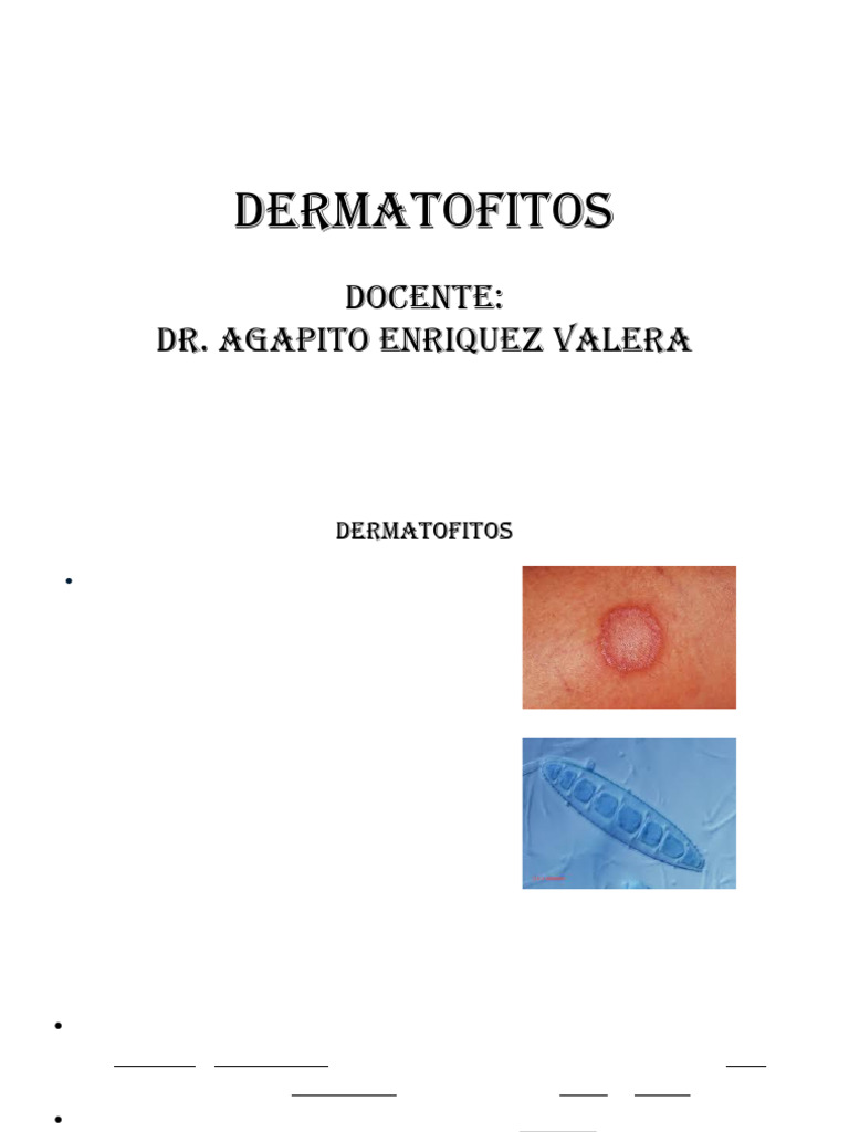 CLASE N° 05 DERMATOFITOS | PDF | Inmunología | Enfermedades y trastornos