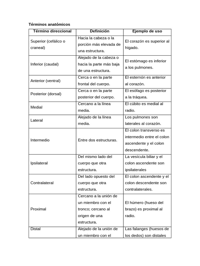 Términos Anatómicos: Ipsilateral y Contralateral | PDF | Términos ...