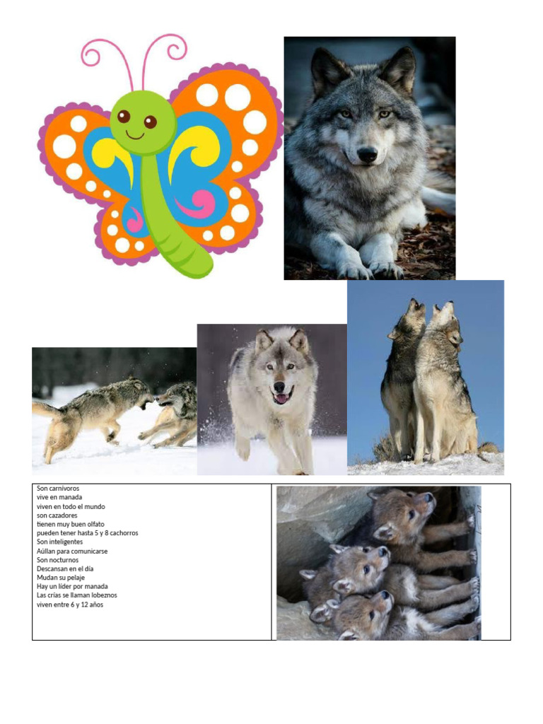 Lobos | PDF