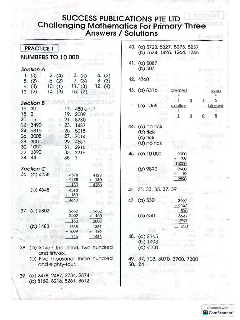 Challenging Mathematics 3 (Answers) | PDF
