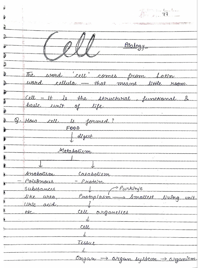 Cell Notes Class - 9 | PDF