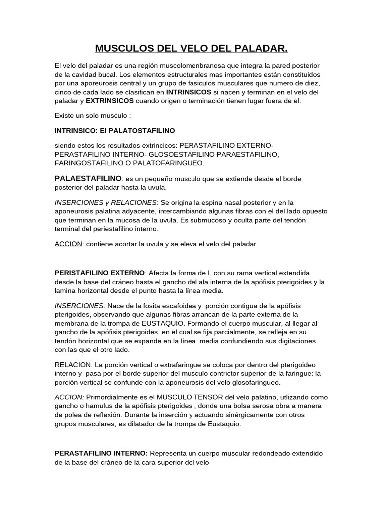 Músculos del Velo del Paladar | PDF | Tejido suave | Sistema ...