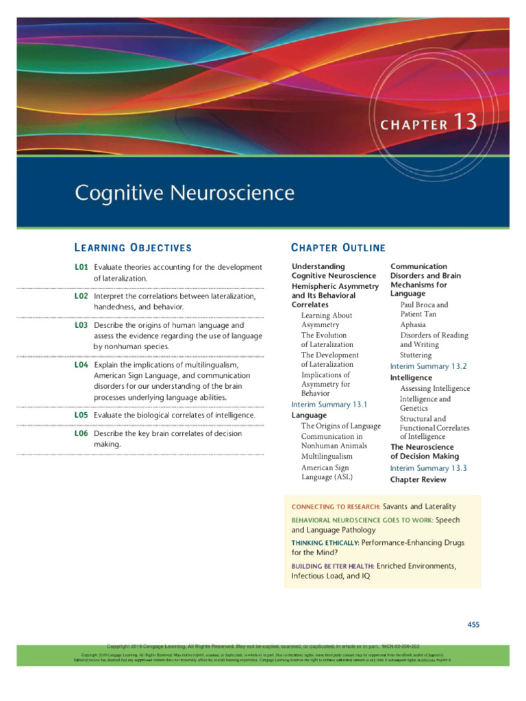 Cognitive Neuroscience | PDF | Lateralization Of Brain Function | Cerebral Hemisphere