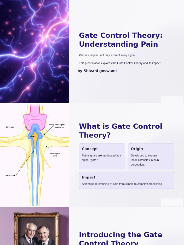 Gate Control Theory Understanding Painn | PDF
