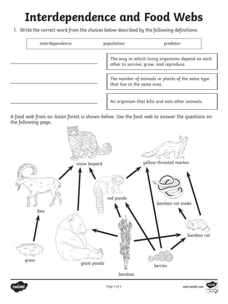 BW Interdependence and Food Webs | PDF