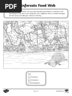 Daintree Rainforest Food Web Overview | PDF