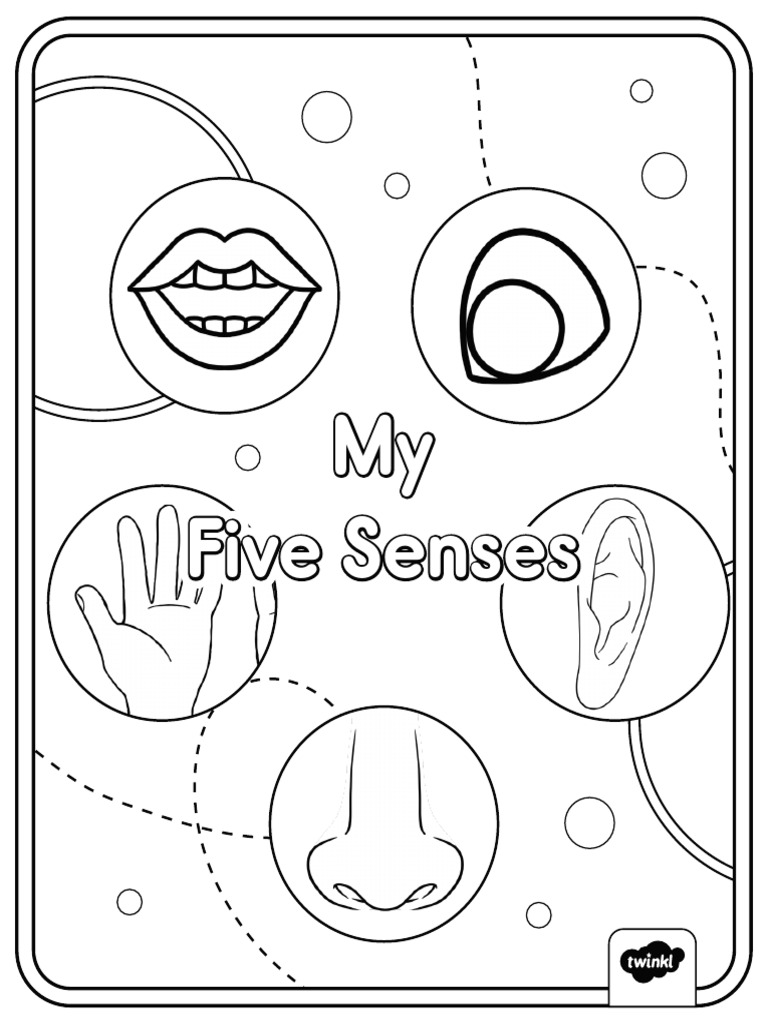 My Five Senses Activity Booklet | PDF