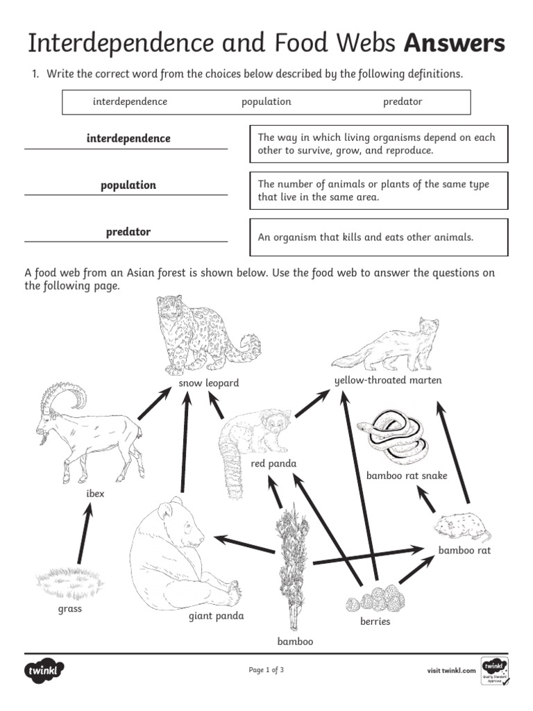 Answers Interdependence and Food Webs | PDF | Predation | Giant Panda