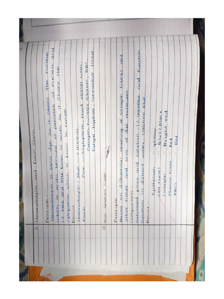 Stains | PDF