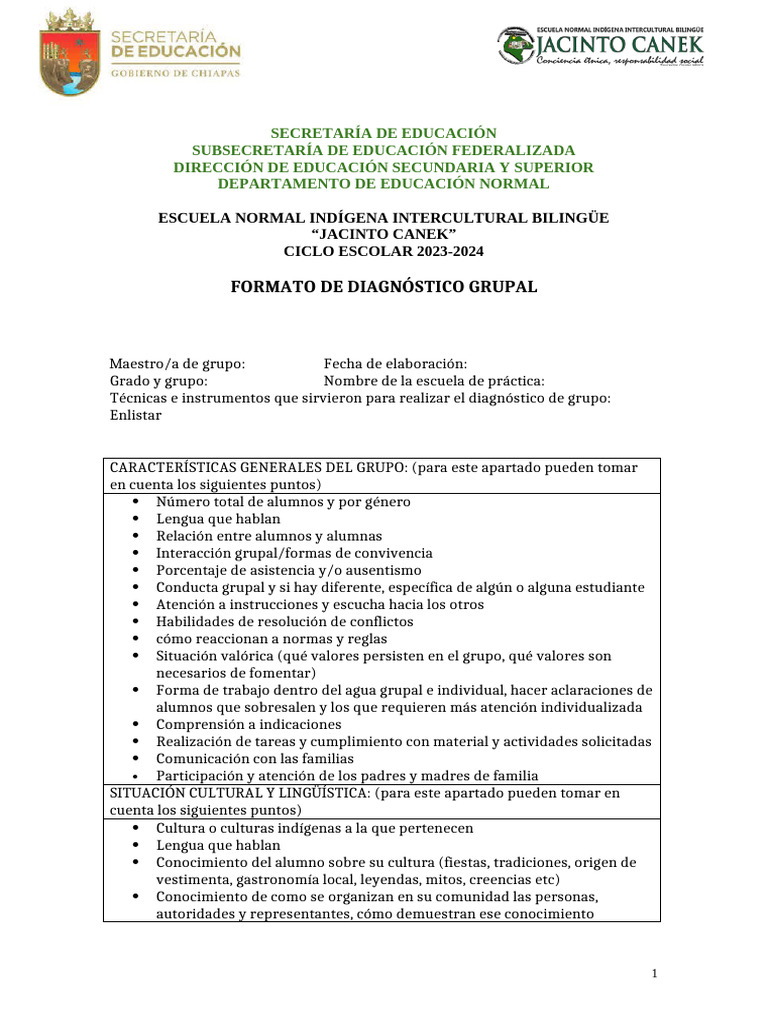 Formato Diagnostico Grupal 2 | PDF | Escuelas | Conocimiento