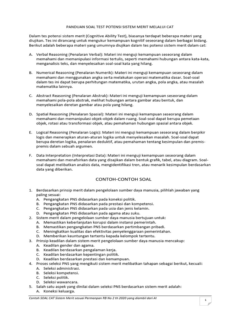 Contoh Soal CAT Sistem Merit PNS | PDF