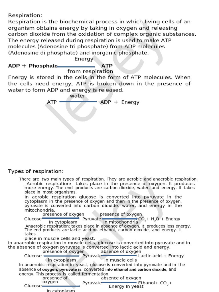 CHAPTER 5 LIFE PROCESSES NOTES (Respiration) | PDF | Cellular ...
