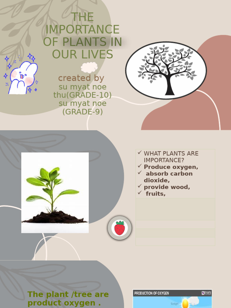 The Importance of Plants in Our Lives | PDF