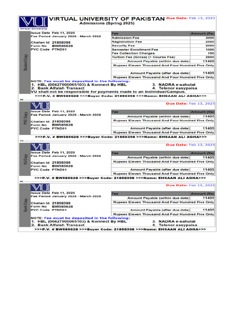 Vu Fee Voucher | PDF