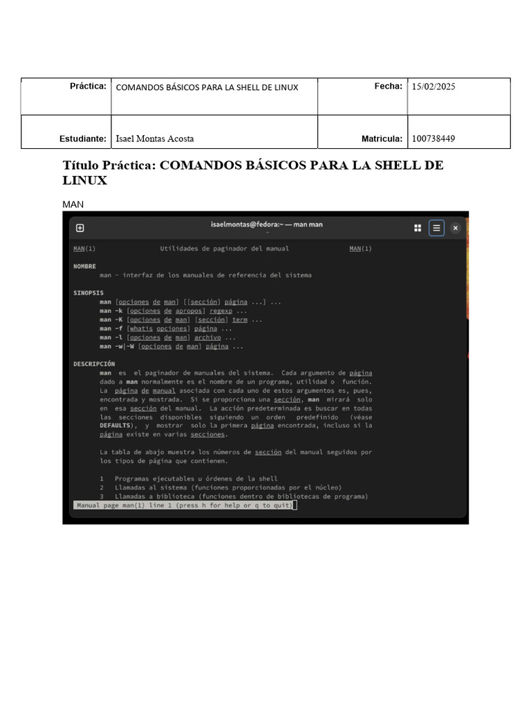 Comandos Básicos para La Shell de Linux | PDF