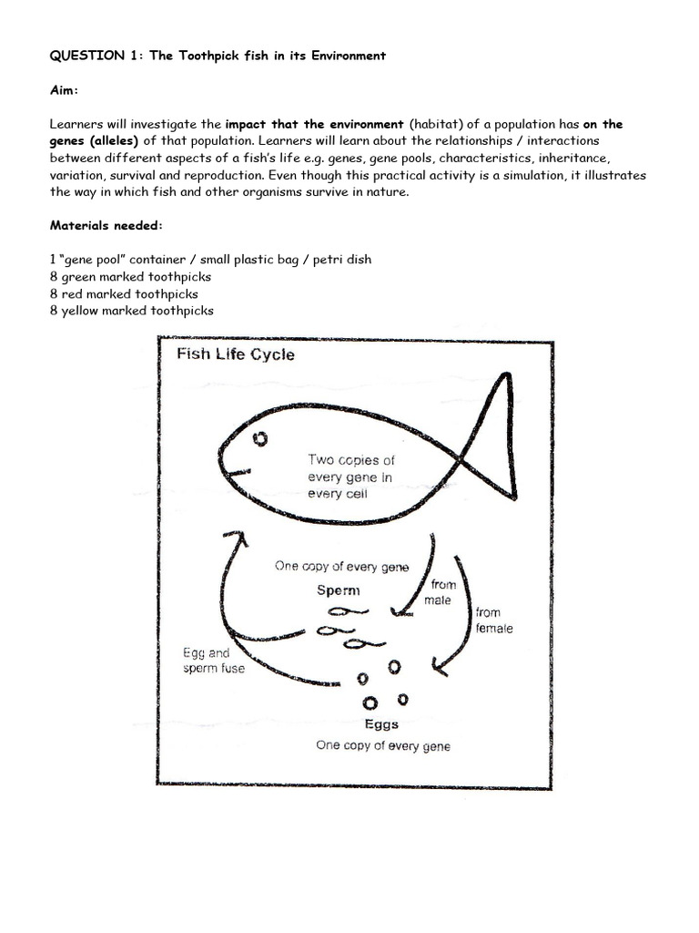 1grade 12 Genetics Practical | PDF | Dominance (Genetics) | Biological ...