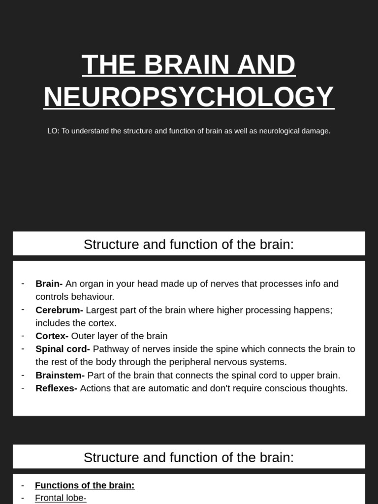 Lesson 1 The Brain and Neuropsychology | PDF | Brain | Nervous System