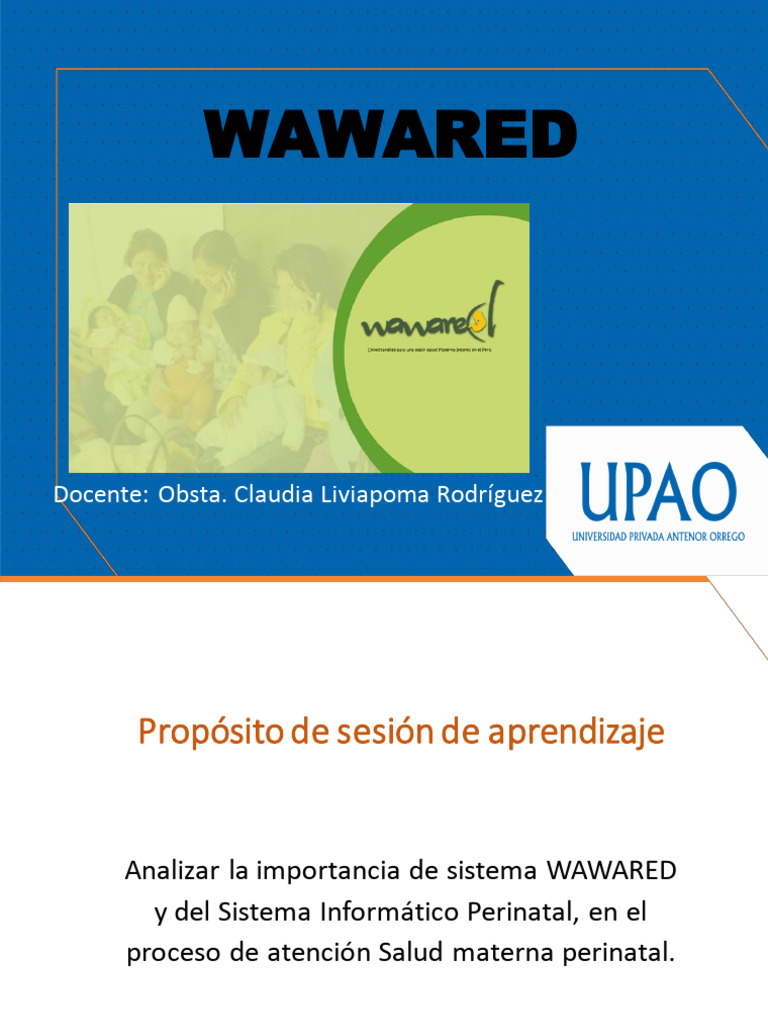 Importancia del Sistema WAWARED en Salud Materna | PDF | Registro ...