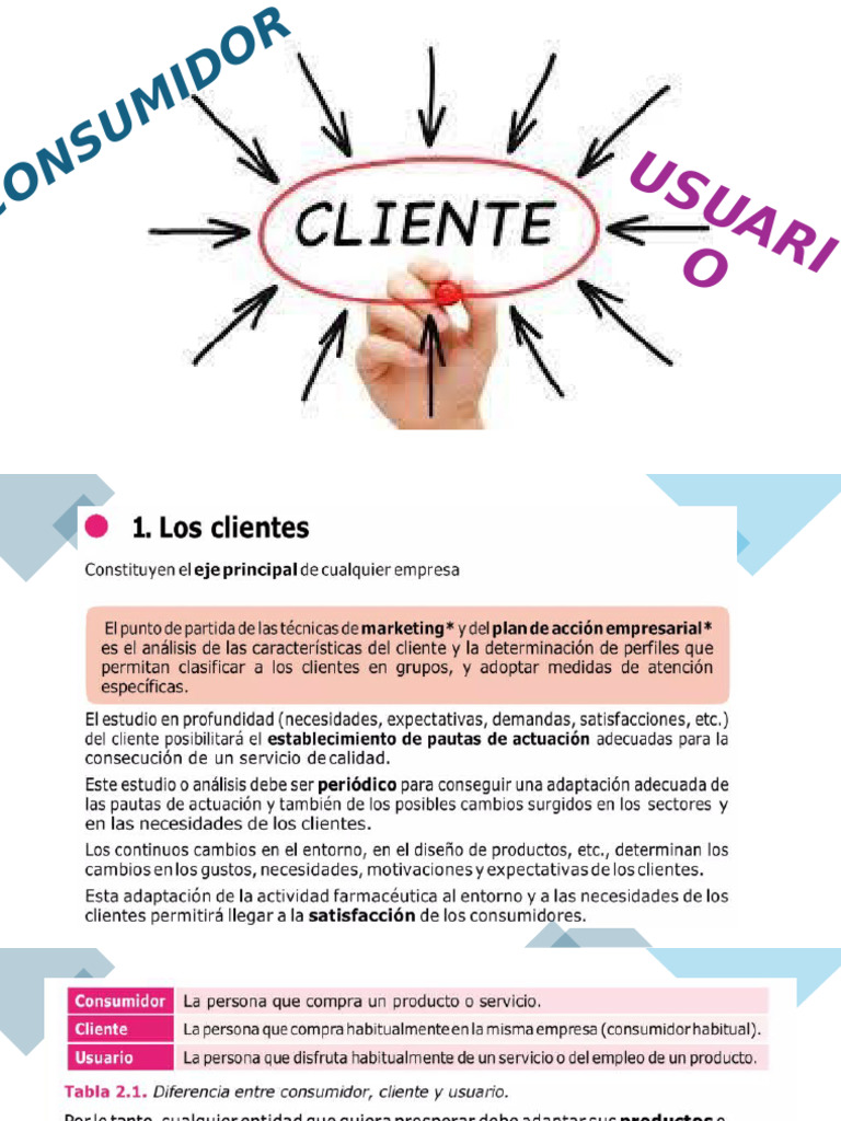 Presentación 1 Cliente - Usuario | PDF