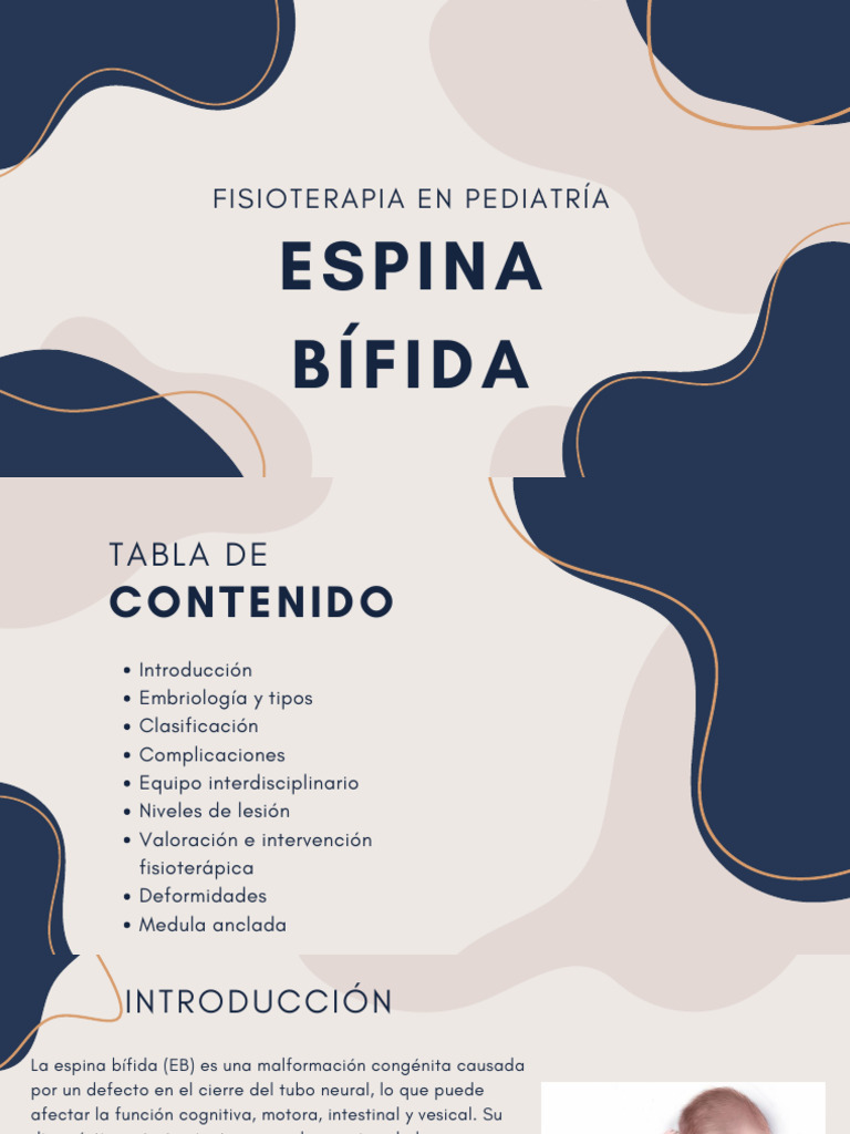 Fisioterapia para Espina Bífida en Niños | PDF | Especialidades Medicas ...