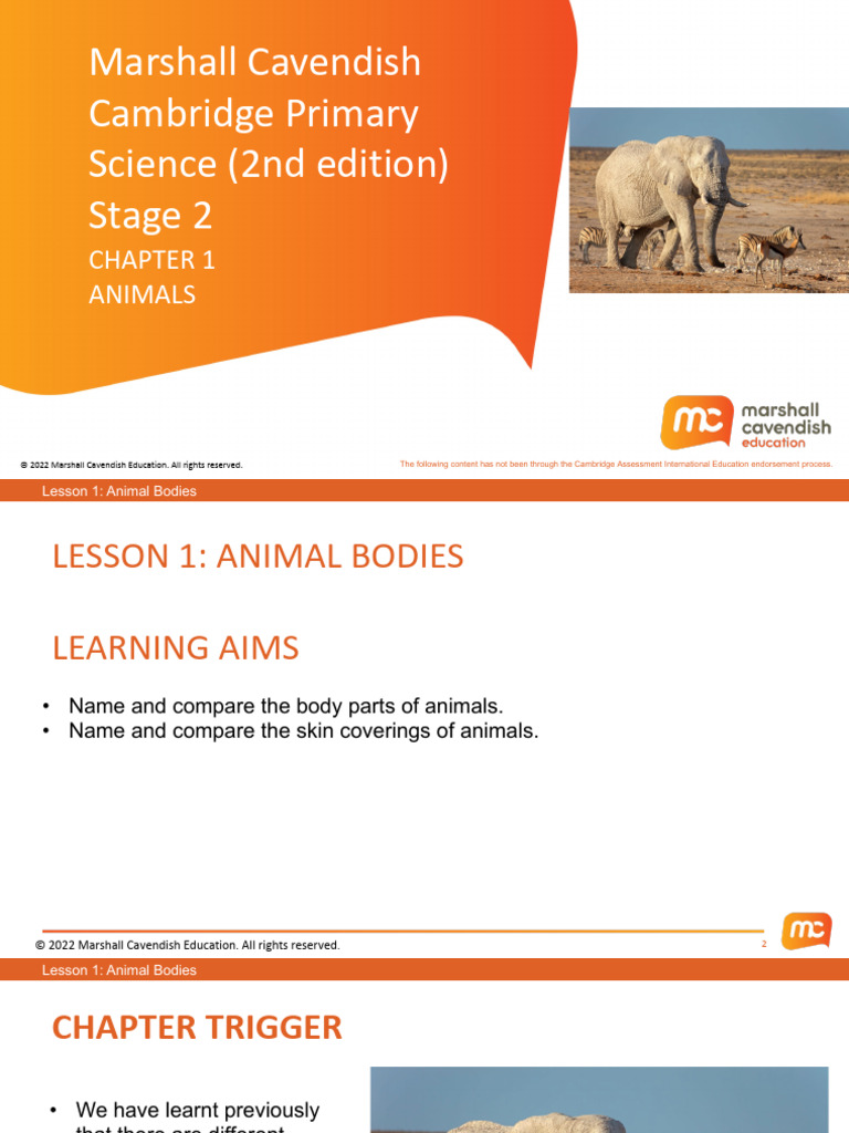 UNIT 1 - Animals and Their Young | PDF | Zoology