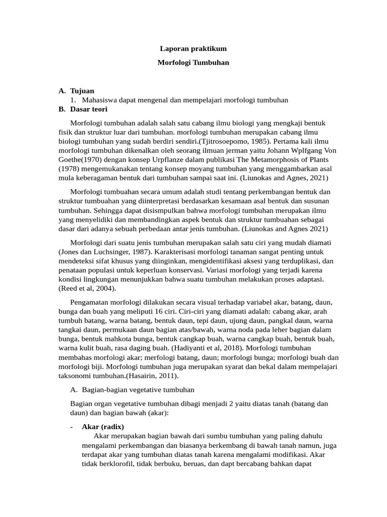 Laprak 3 Morfologi Tumbuhan | PDF