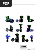 Fisher Valve Sizing Tutorial Guide | PDF | Valve | Computer Science