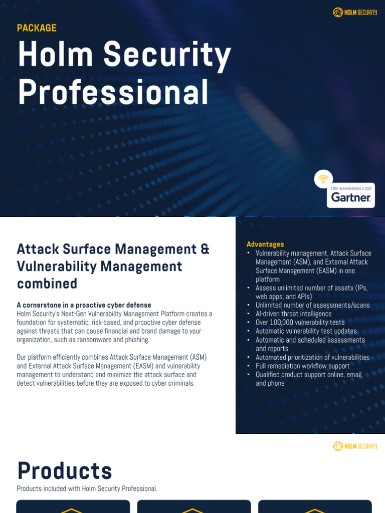 ENG - Holm Security Professional - Ver2.1-2025 | PDF