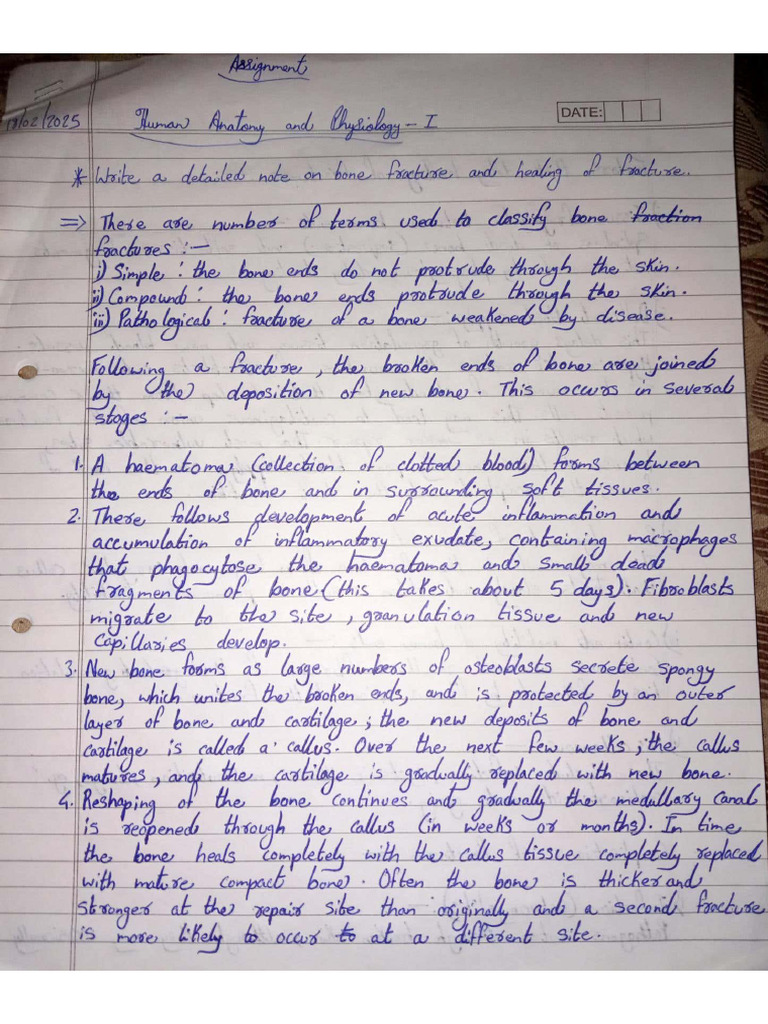 HAP Assignment | PDF