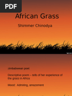 Grade 11 Dreaming of Light Summary | PDF