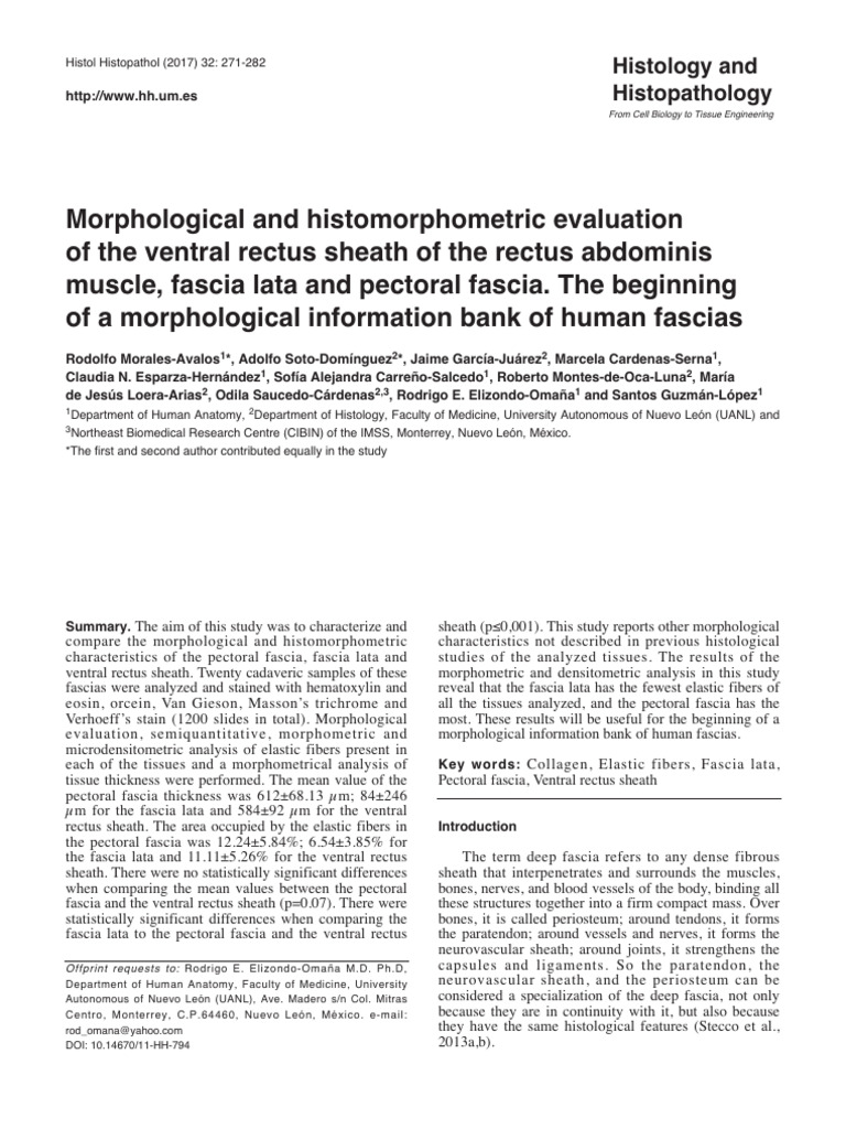 Morphological and Histomorphometric Eval | PDF | Connective Tissue ...
