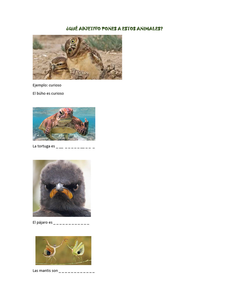 ¿Qué Adjetivo Pones A Estos Animales? | PDF