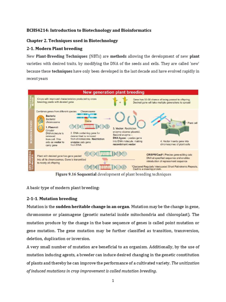 Part Two BCHS4214 Intro To Biotech | PDF | Molecular Cloning | Plant ...