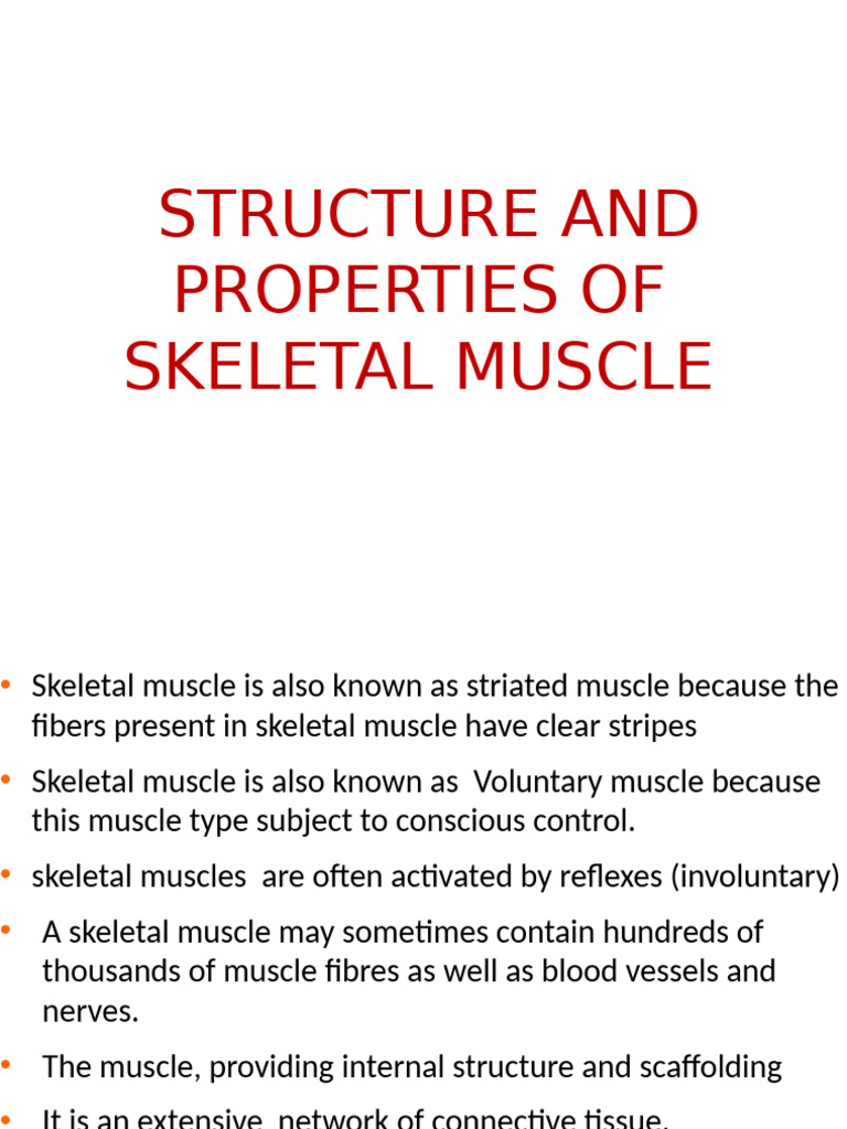 Properties of Skeletal Muscle Explained | PDF | Muscle Contraction | Muscle