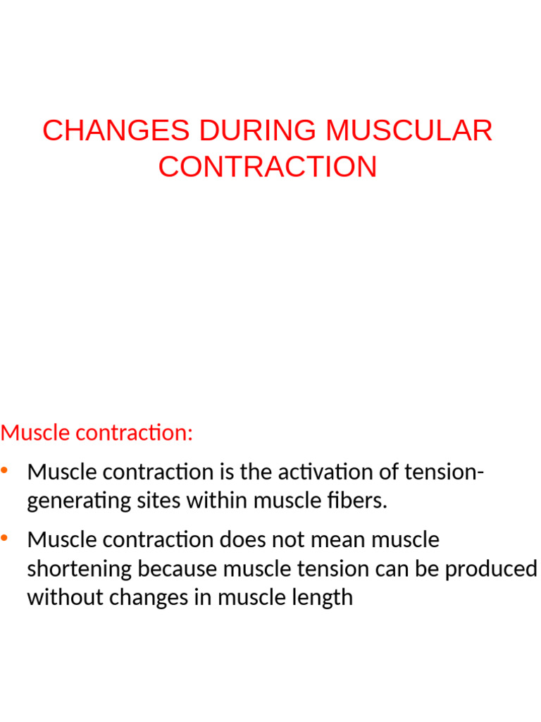 Changes During Muscular Contraction | PDF | Muscle Contraction | Motor ...