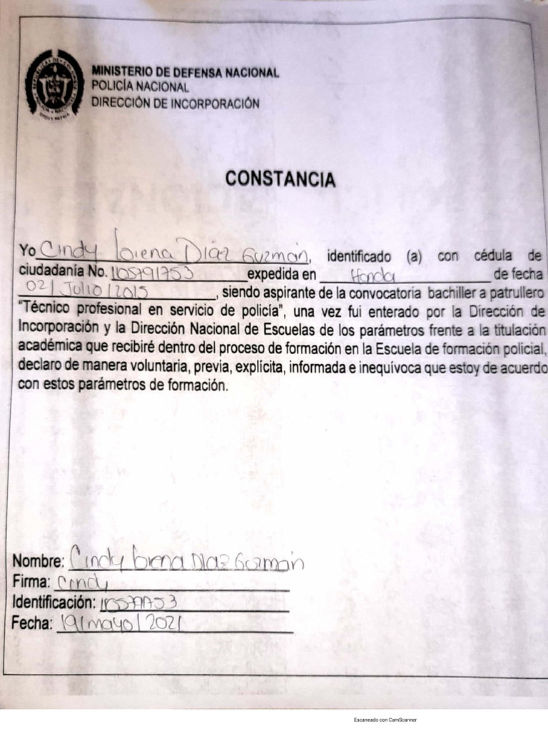 Cindy Lorena Diaz Guzman | PDF