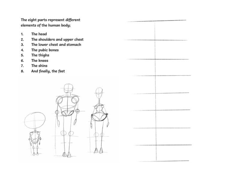 body proportions | PDF