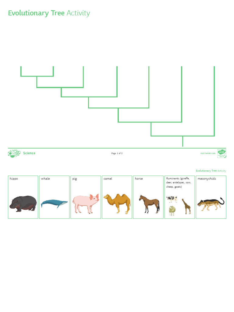 Inheritance V & E Lesson 15 Evolutionary Tree Worksheet | PDF
