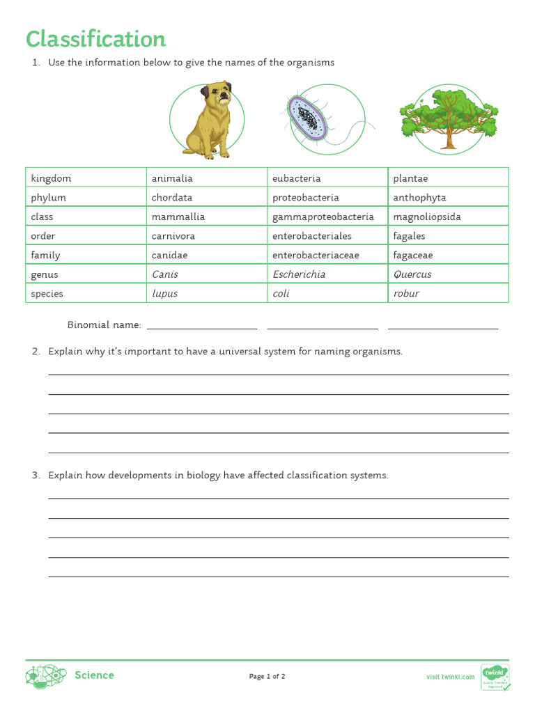 Inheritance V & E Lesson 15 Classification Worksheet | PDF | Taxonomy ...