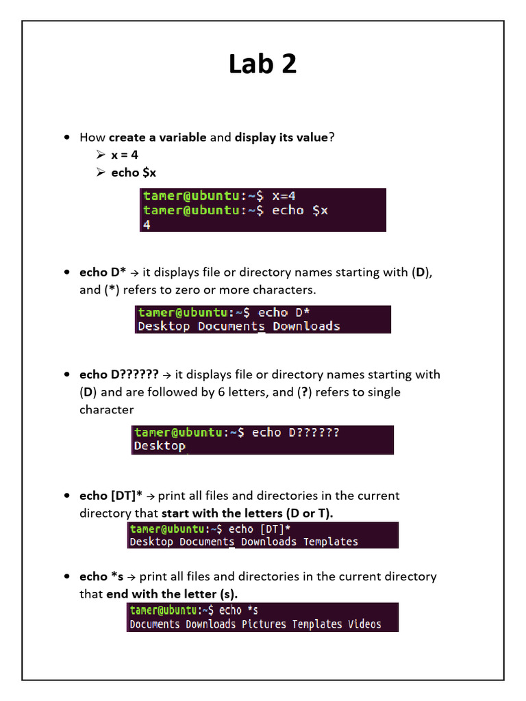 Lab - 2 OS1 | PDF