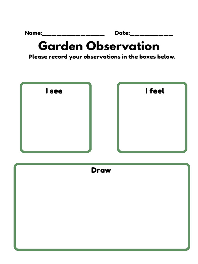 Nature Walk Observation Science Worksheet | PDF