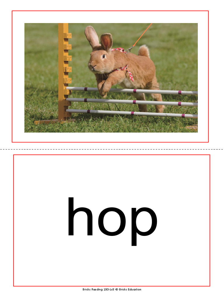Bricks Reading 150 - L3 - Flashcard - Unit 04 | PDF