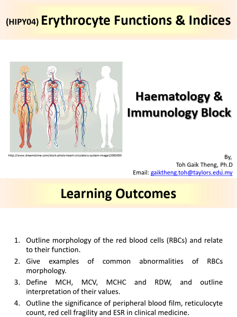 HIPY04 Erythrocyte Functions Indices - B25 | PDF | Red Blood Cell | Anemia