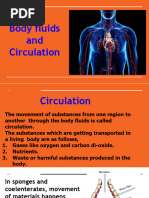Body Fluids and Circulation Ncert | PDF | Heart Valve | Ventricle (Heart)