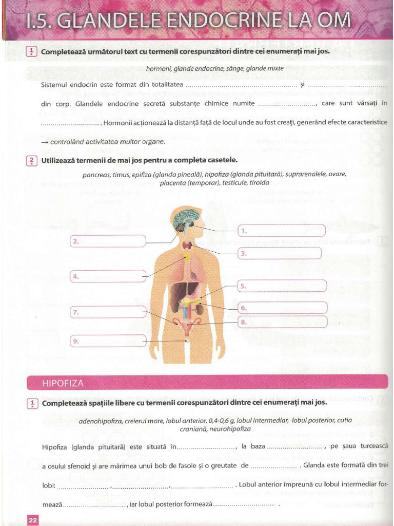 Fisa de Lucru - Clasa | PDF