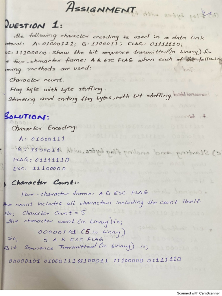 CCN Assignment | PDF