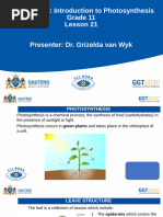 Tree Identification Key Printable: Click Here To Download | PDF ...