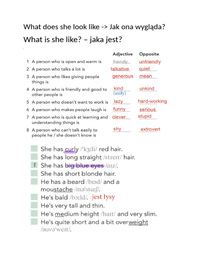 What Does She Look Like | PDF