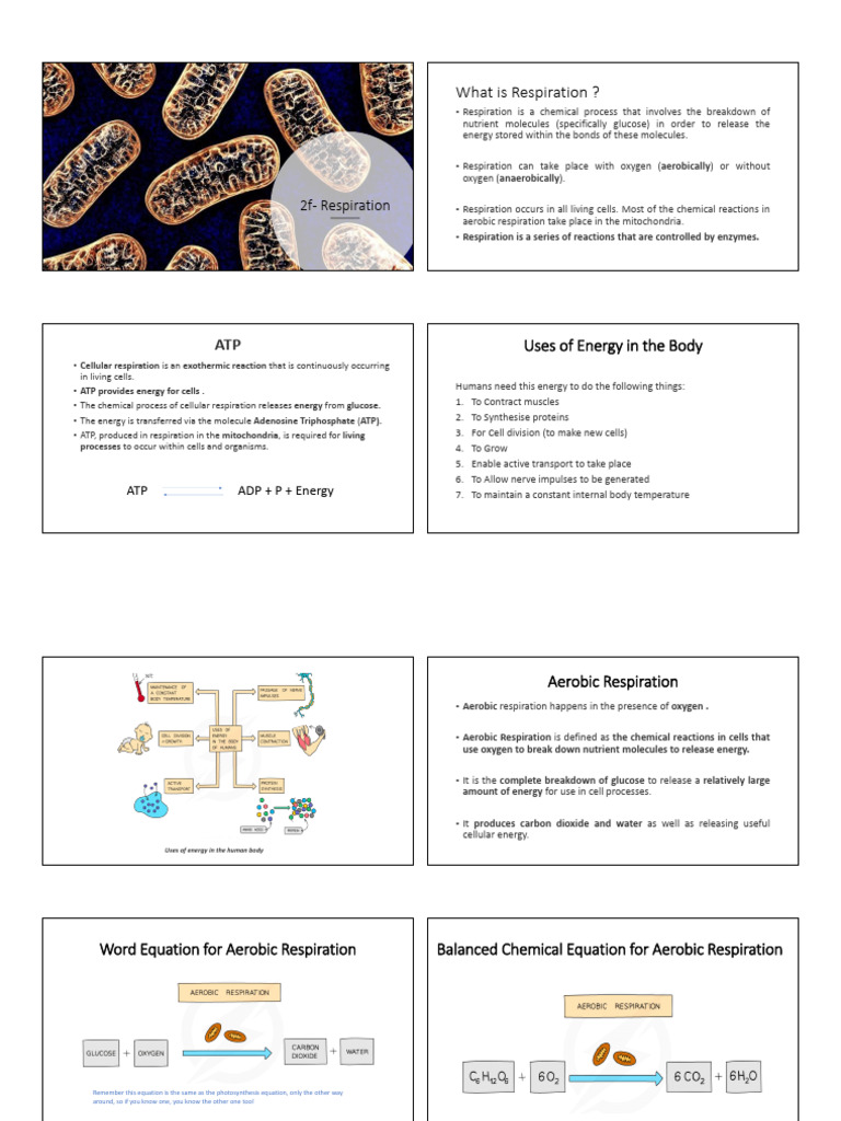 Present. 9. 2 F Respiration - Biology (PowerPoint) | PDF | Cellular ...